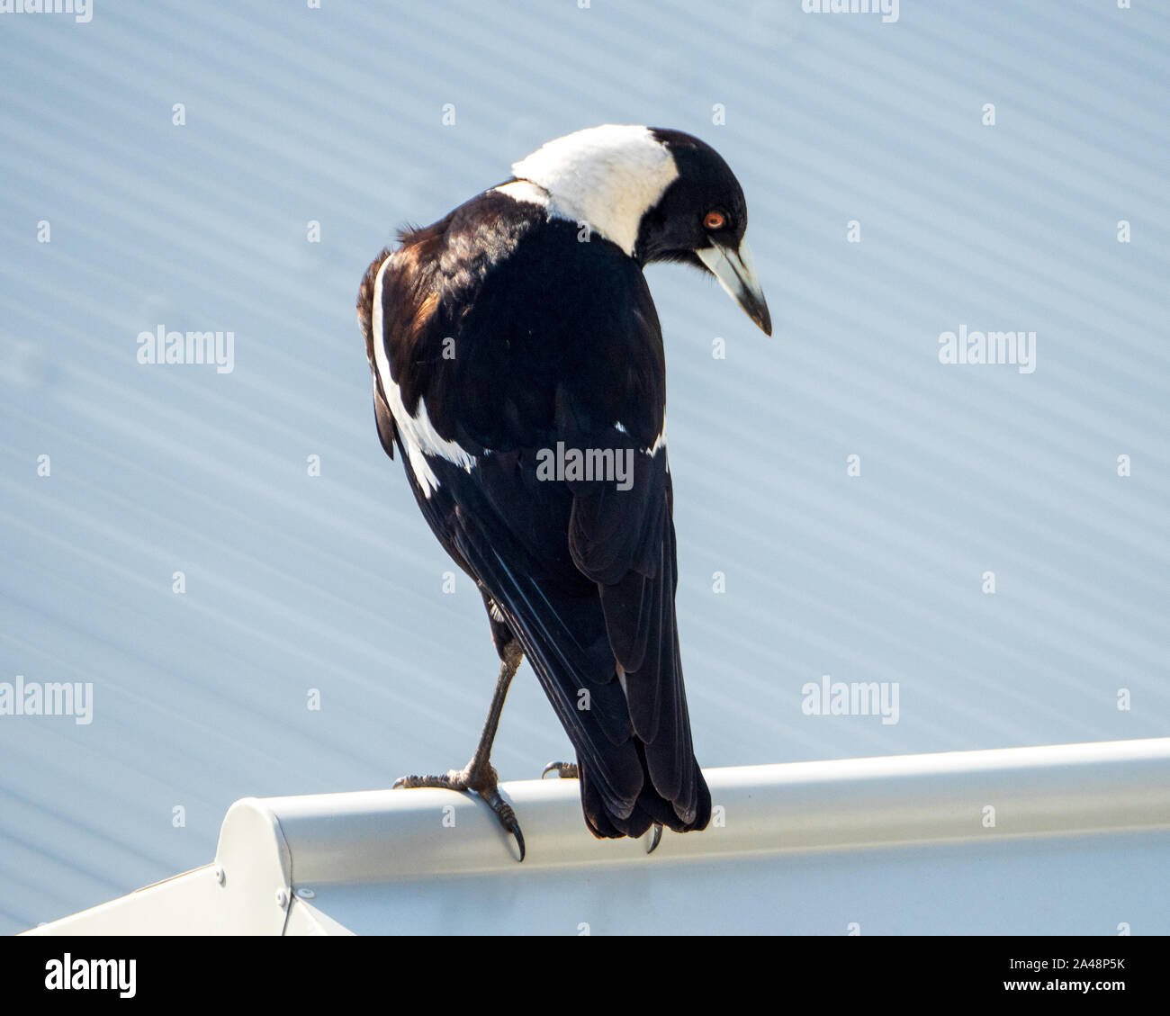 Gripping the sun hi-res stock photography and images - Alamy