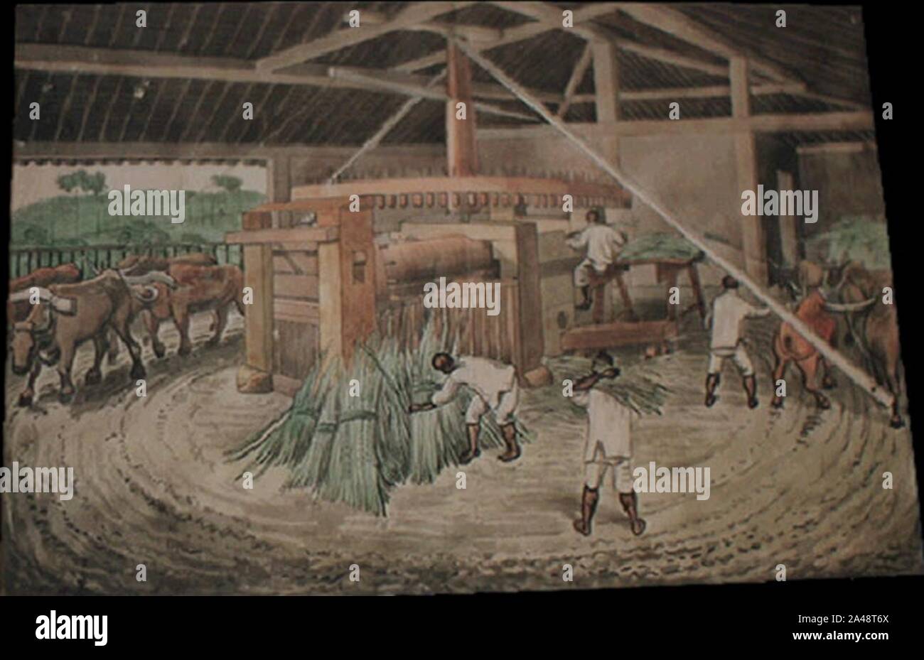 Archival sugar cane mill hi-res stock photography and images - Alamy