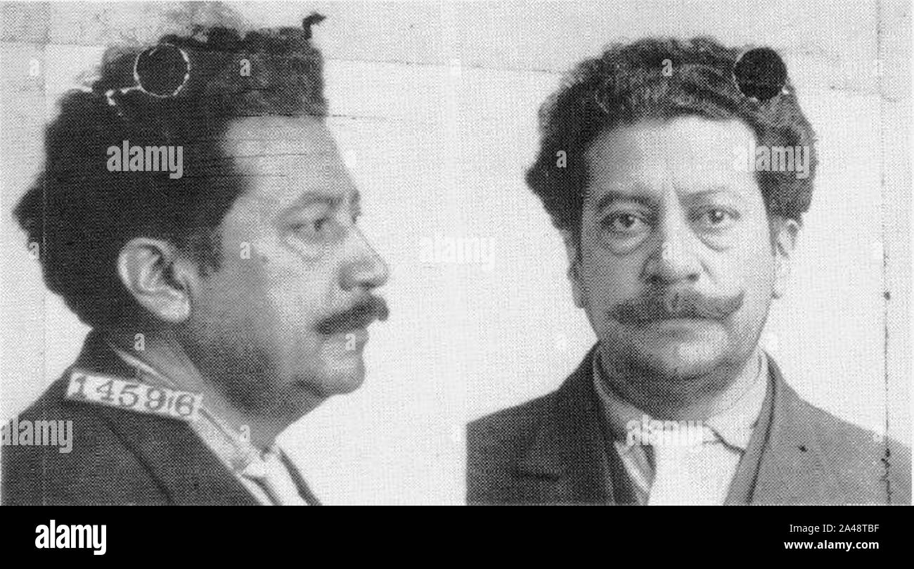 Flores Magon 1920 Stock Photo - Alamy