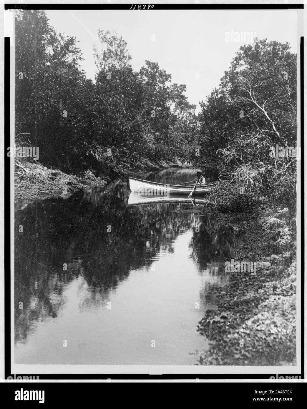 Florida river rapids hi-res stock photography and images - Alamy