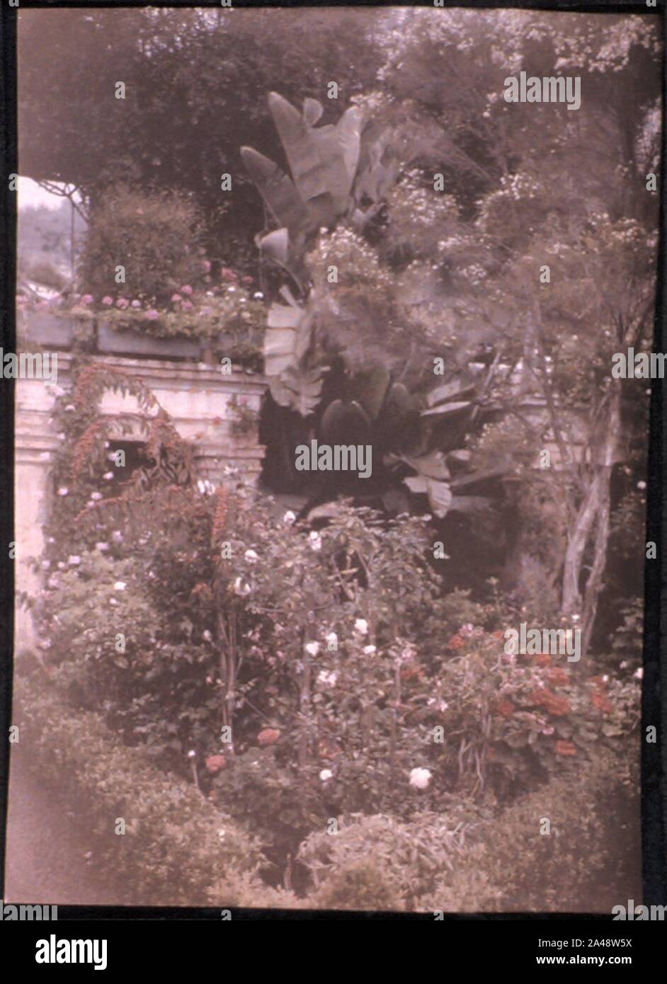 Sarah madeira hi-res stock photography and images - Alamy