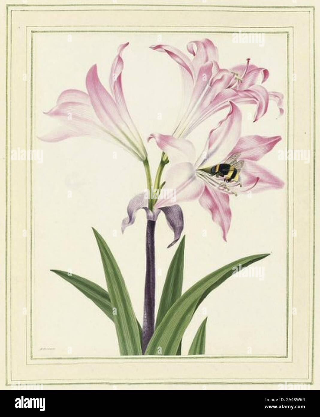 Peter brown hi-res stock photography and images - Alamy