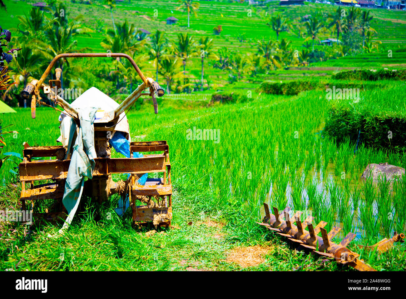 Rice Paddy Tiller - Indonesia Stock Photo - Alamy