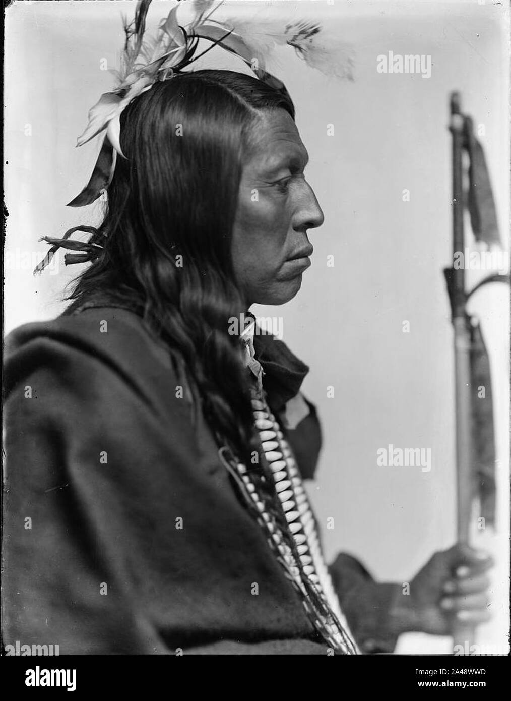 Flying Hawk portrait Stock Photo - Alamy