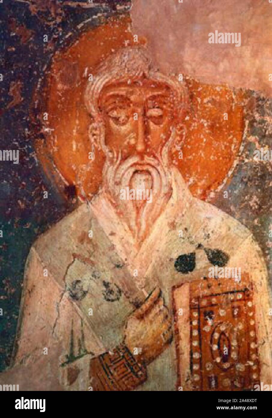 Foka hi-res stock photography and images - Alamy