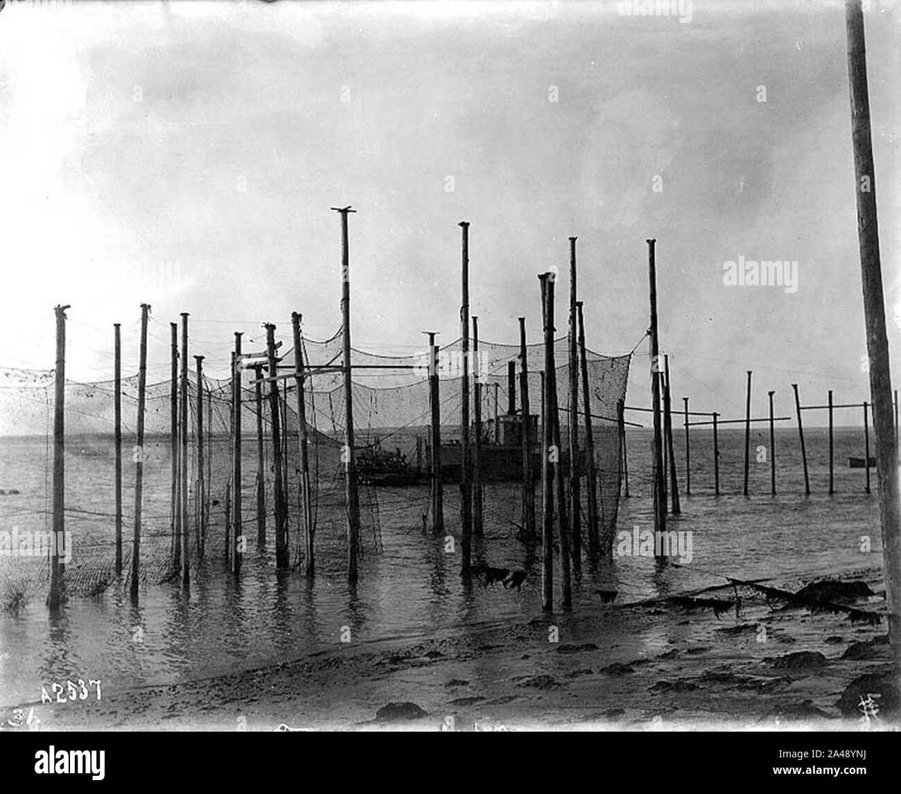 Fish trap on the Nushagak River, Alaska, nd (COBB 169 Stock Photo - Alamy