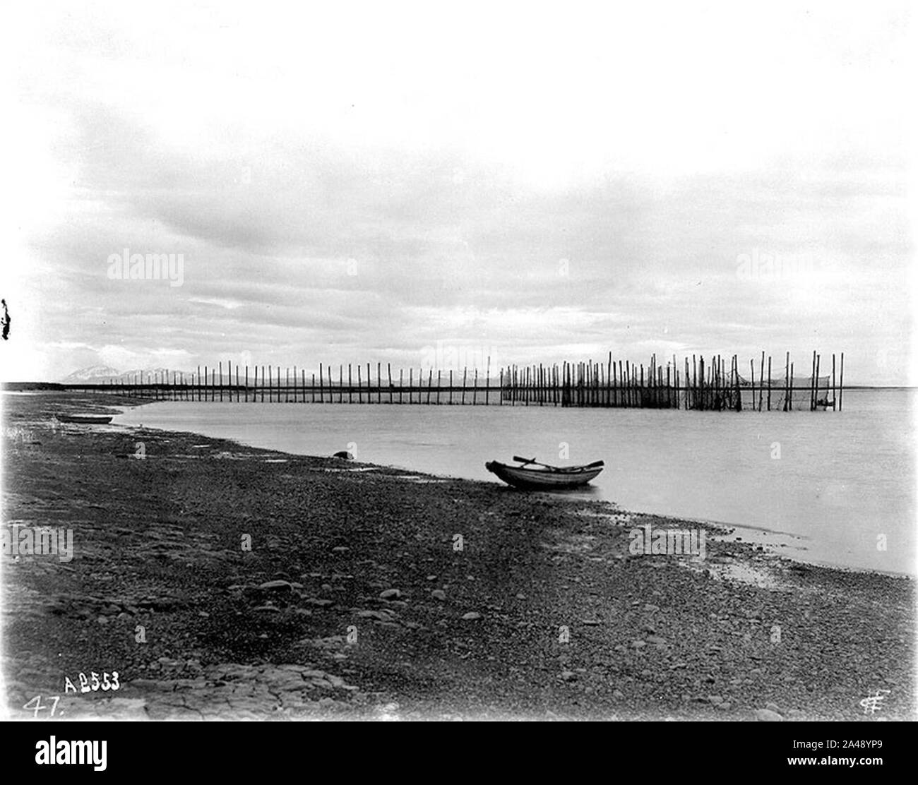 Fish trap on the Ugashik River, Alaska, nd (COBB 168 Stock Photo - Alamy