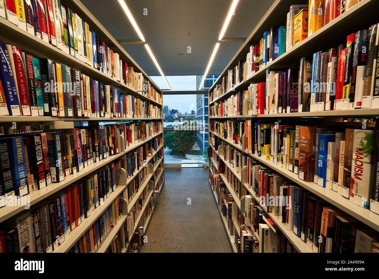 Hunters Point Community Library, designed by Steven Holl Architects ...