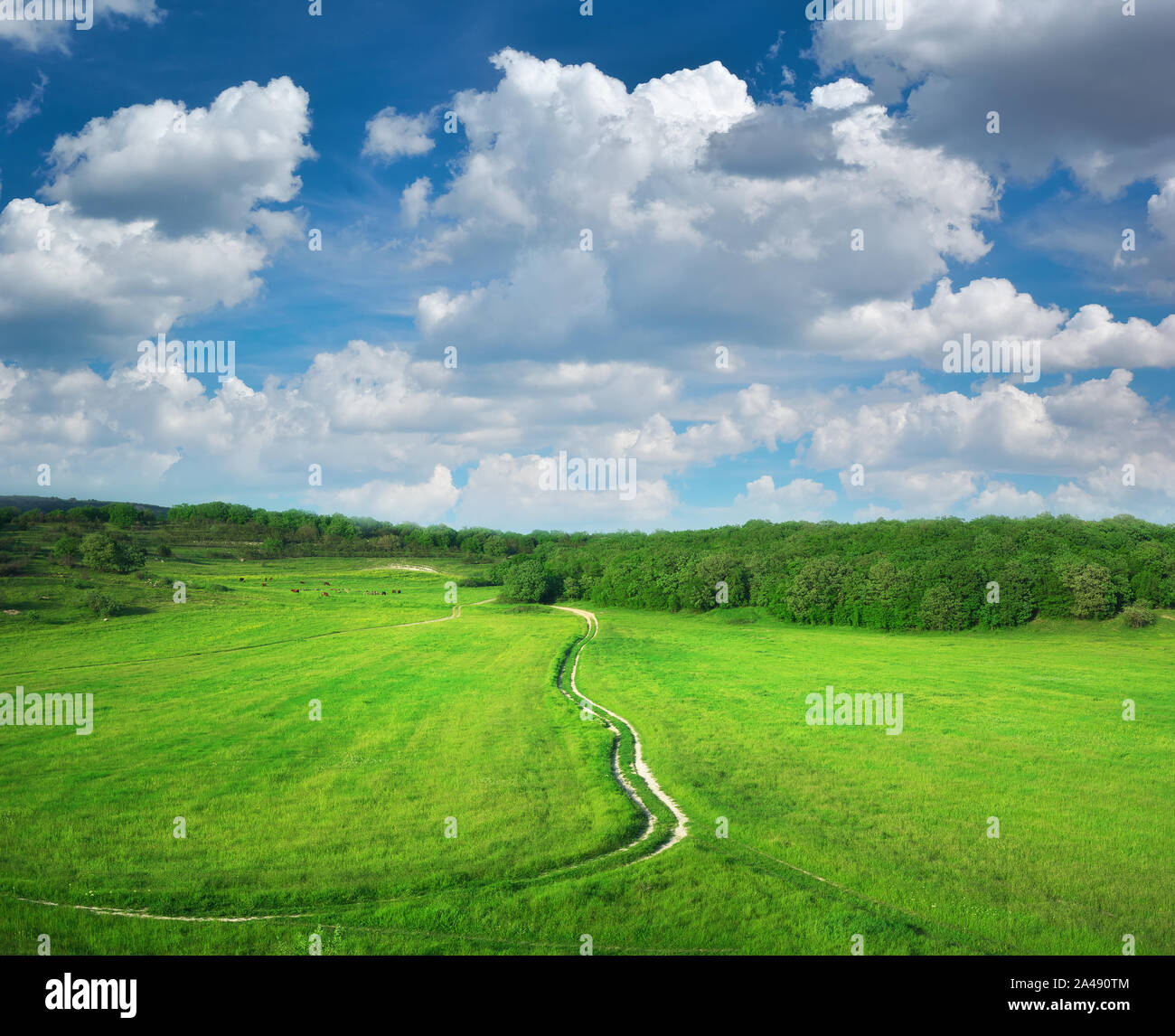 Road lane and deep blue sky. Nature design Stock Photo - Alamy
