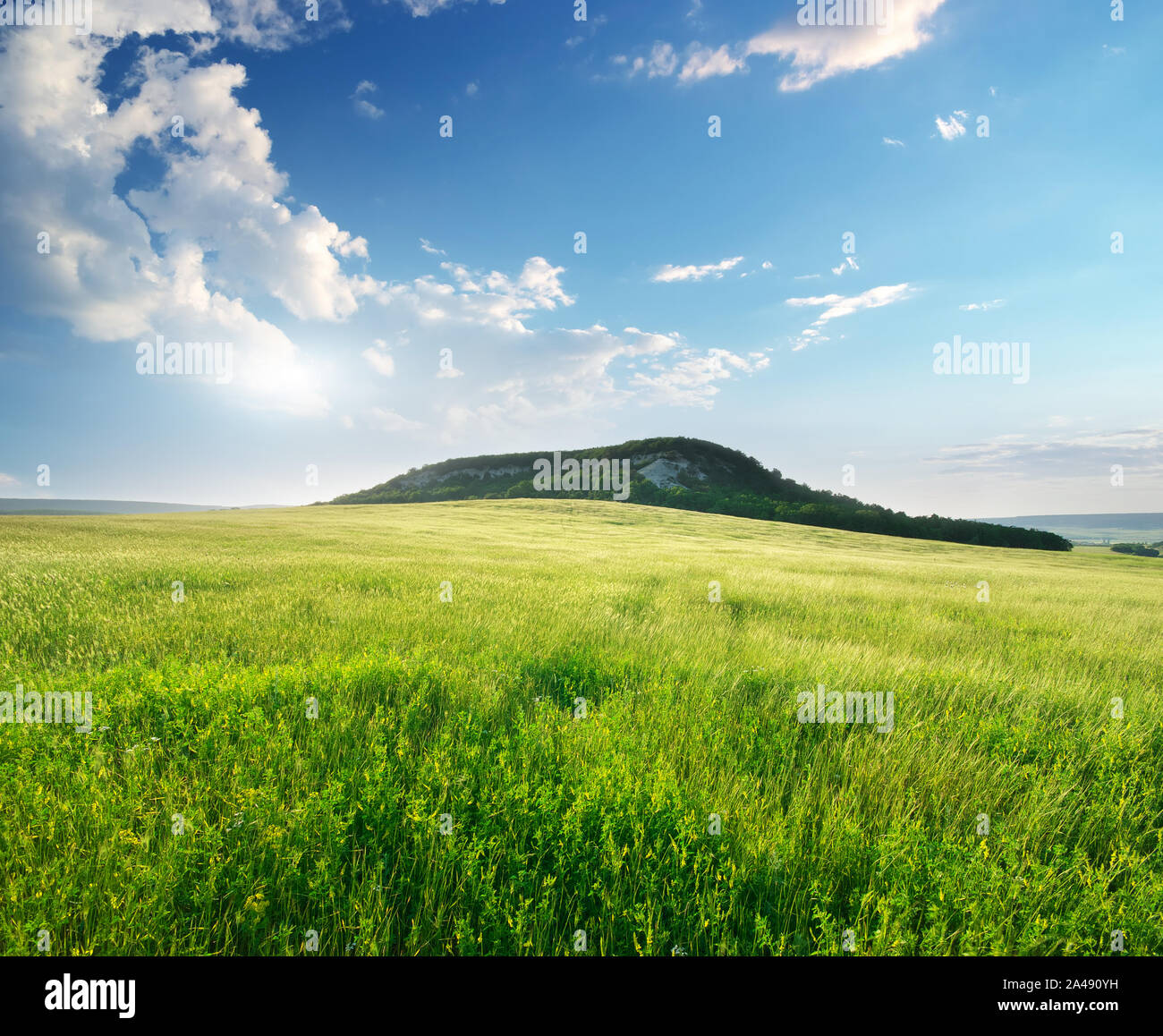 Beautiful landscape spring meadow hi-res stock photography and images ...