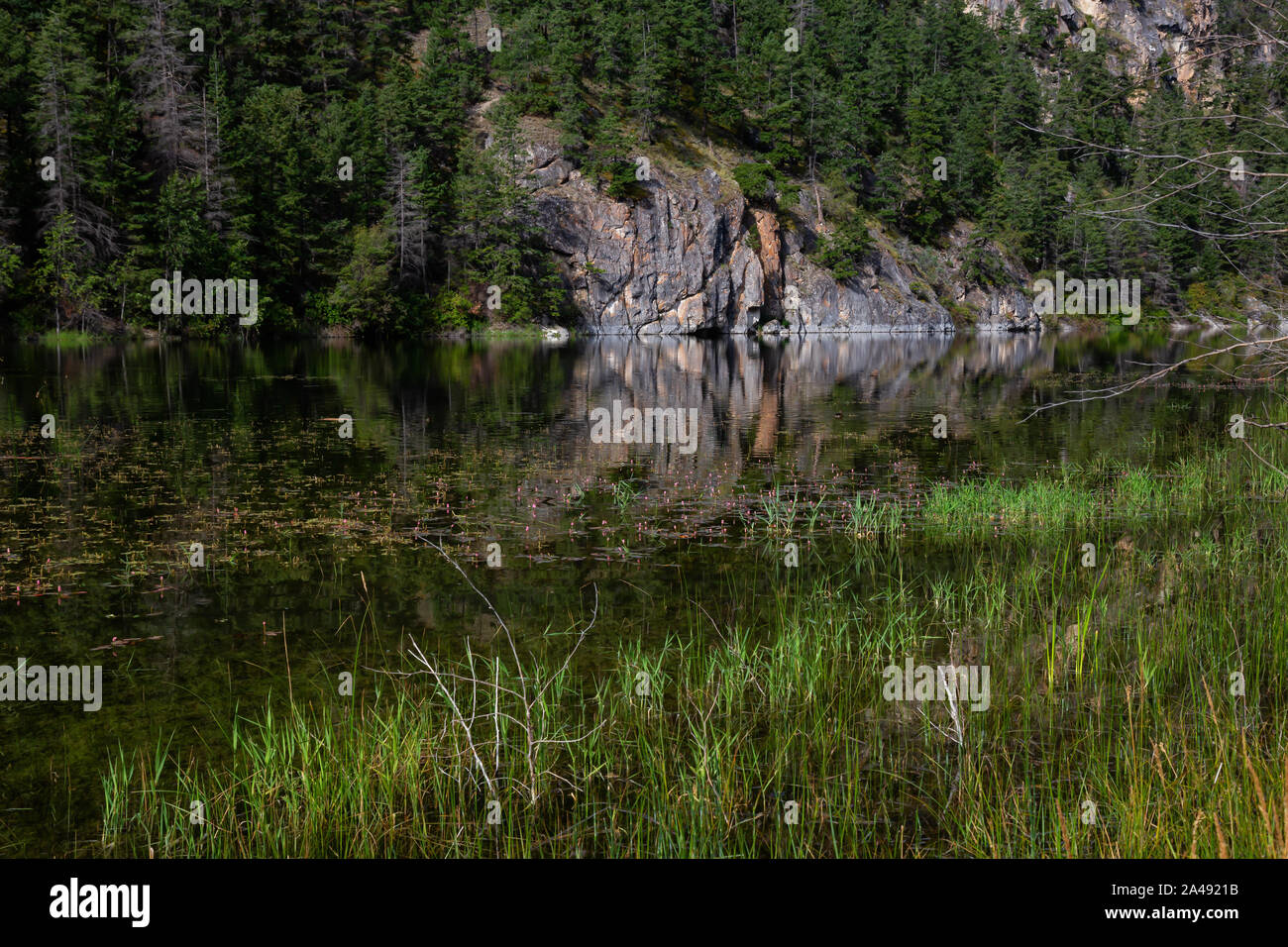 Beautiful View of Crown Lake in Marble Canyon Provincial Park during ...