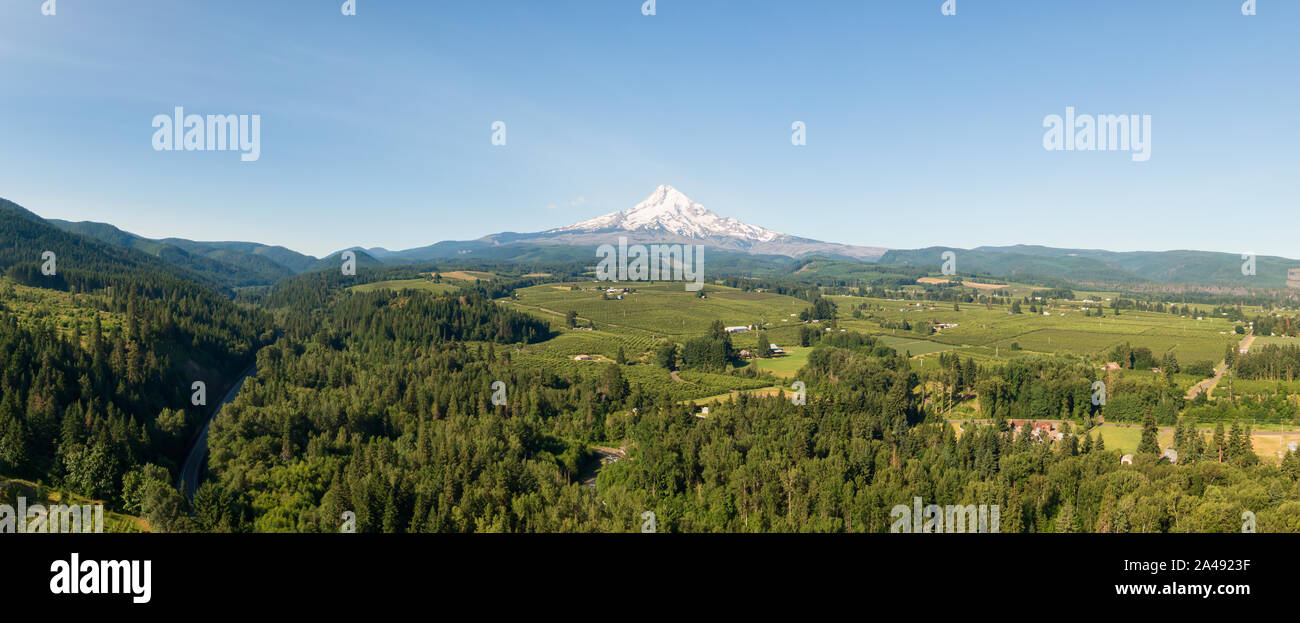Aerial Panoramic View of American Landscape and Green Farm Fields with ...