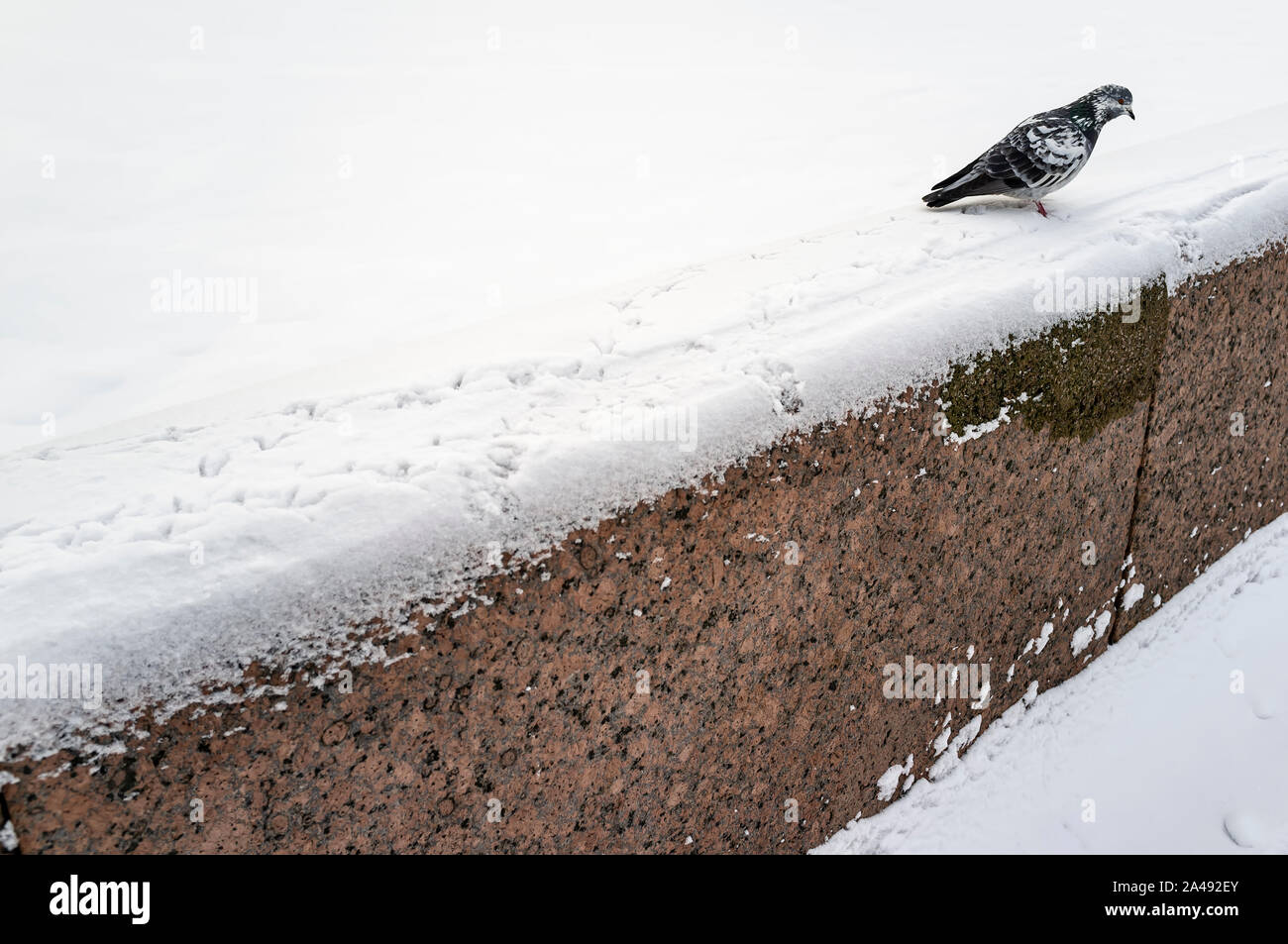 Stone parapet hi-res stock photography and images - Alamy