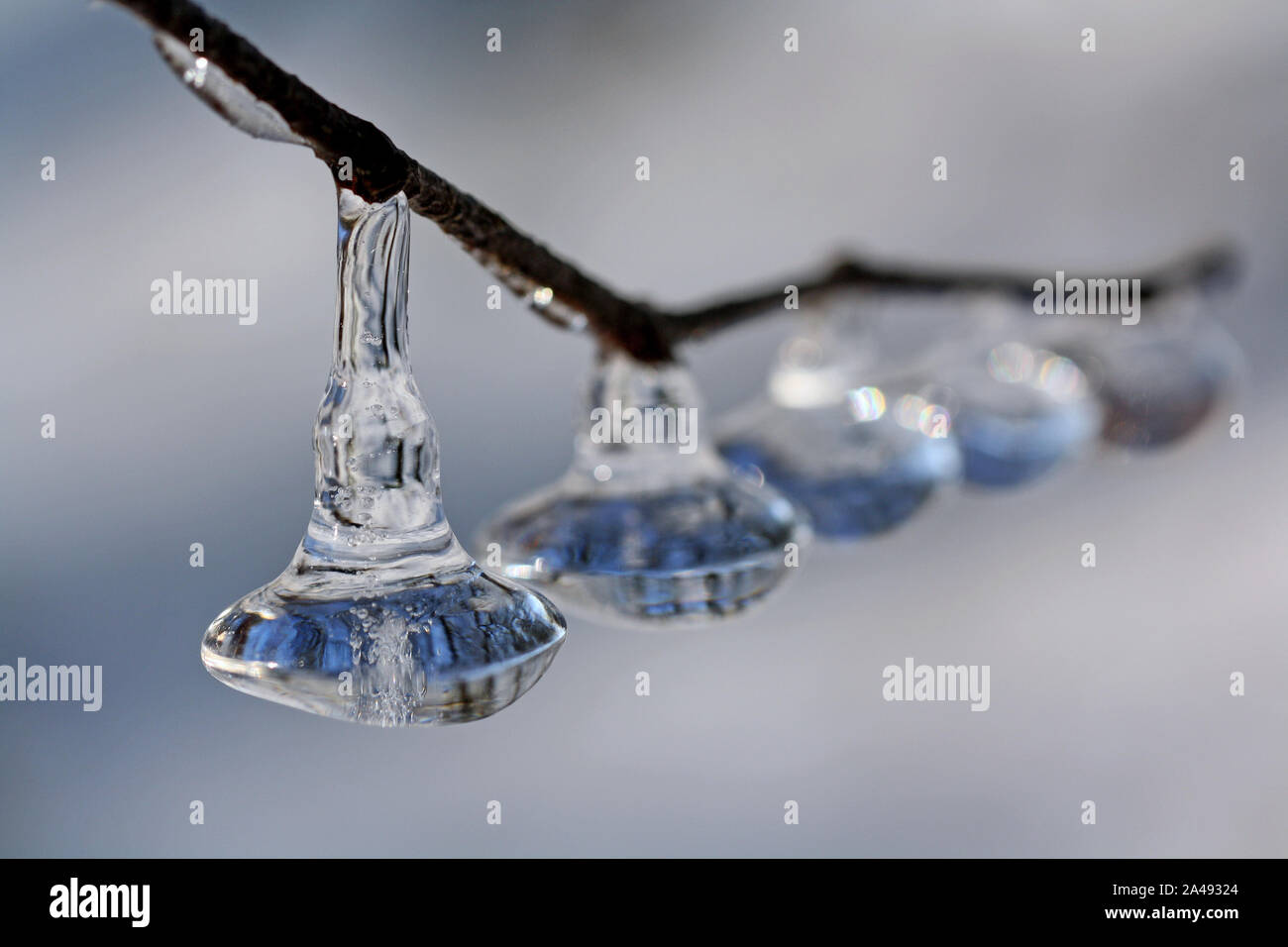 Branch hanging over water hi-res stock photography and images - Alamy