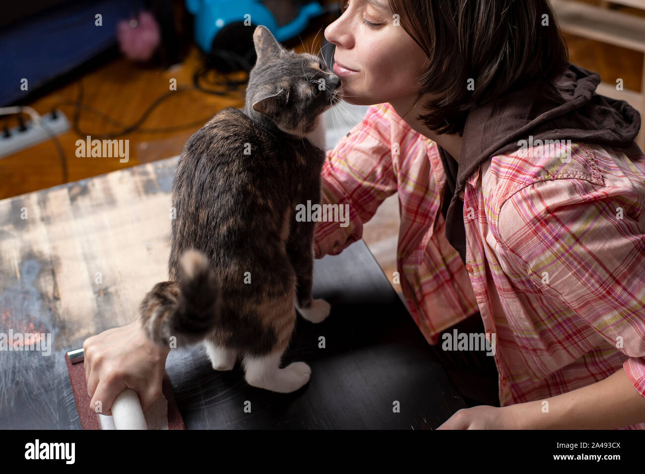 Cat helping paint hi-res stock photography and images - Alamy
