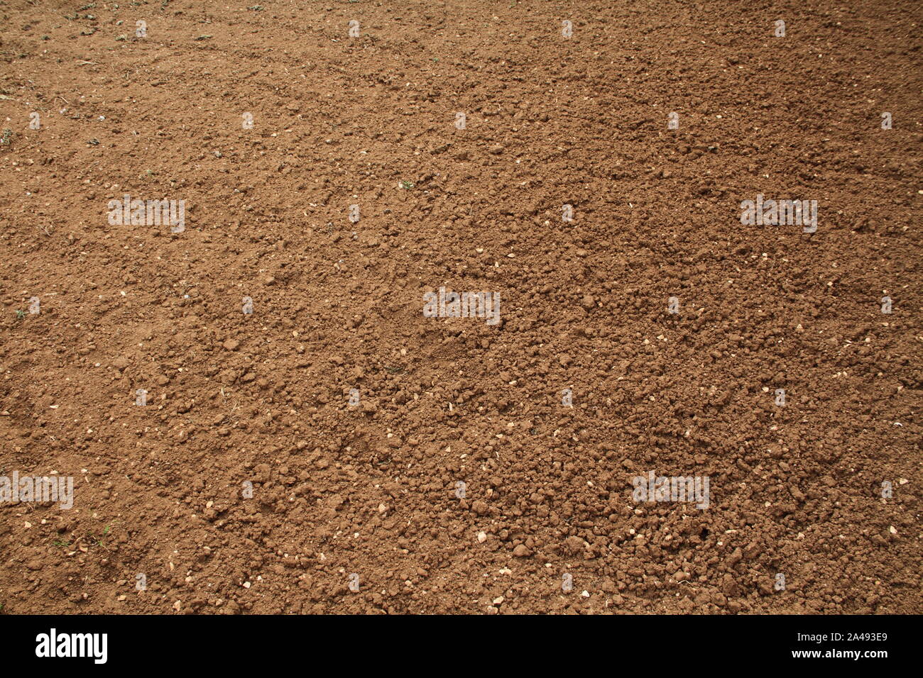 Clod Of Earth Stock Photos & Clod Of Earth Stock Images - Alamy