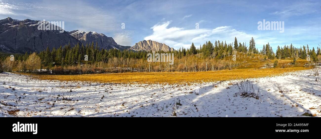 Wide Panoramic Landscape of Snowy Meadows, Aspen Trees and Distant ...