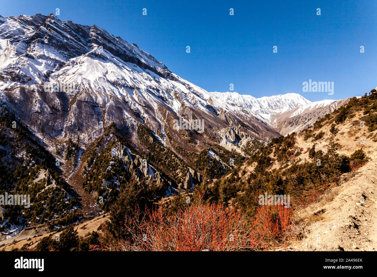 On the way in the direction of Tilicho lake, Himalayas, Nepal Stock ...