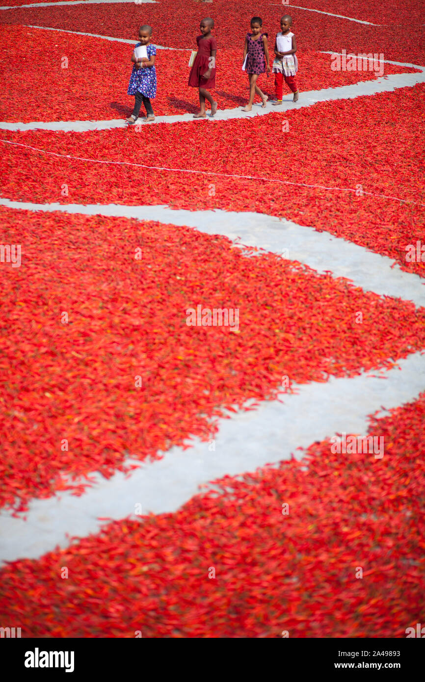Chilli processing hi-res stock photography and images - Alamy