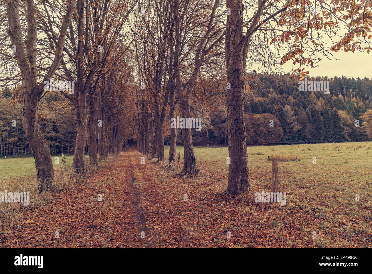 Old indian path hi-res stock photography and images - Alamy