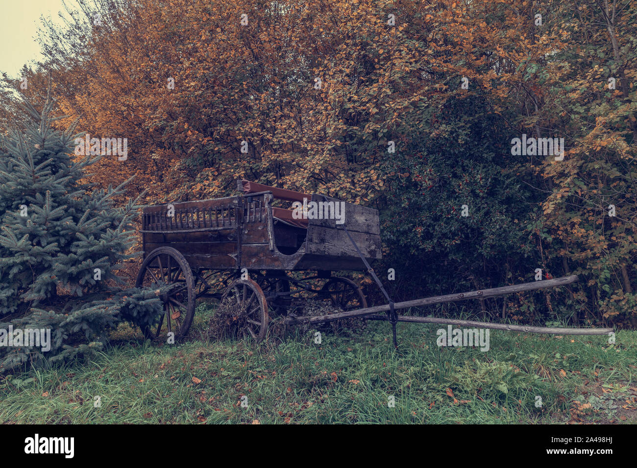 old cart with flowers in autumn Stock Photo - Alamy