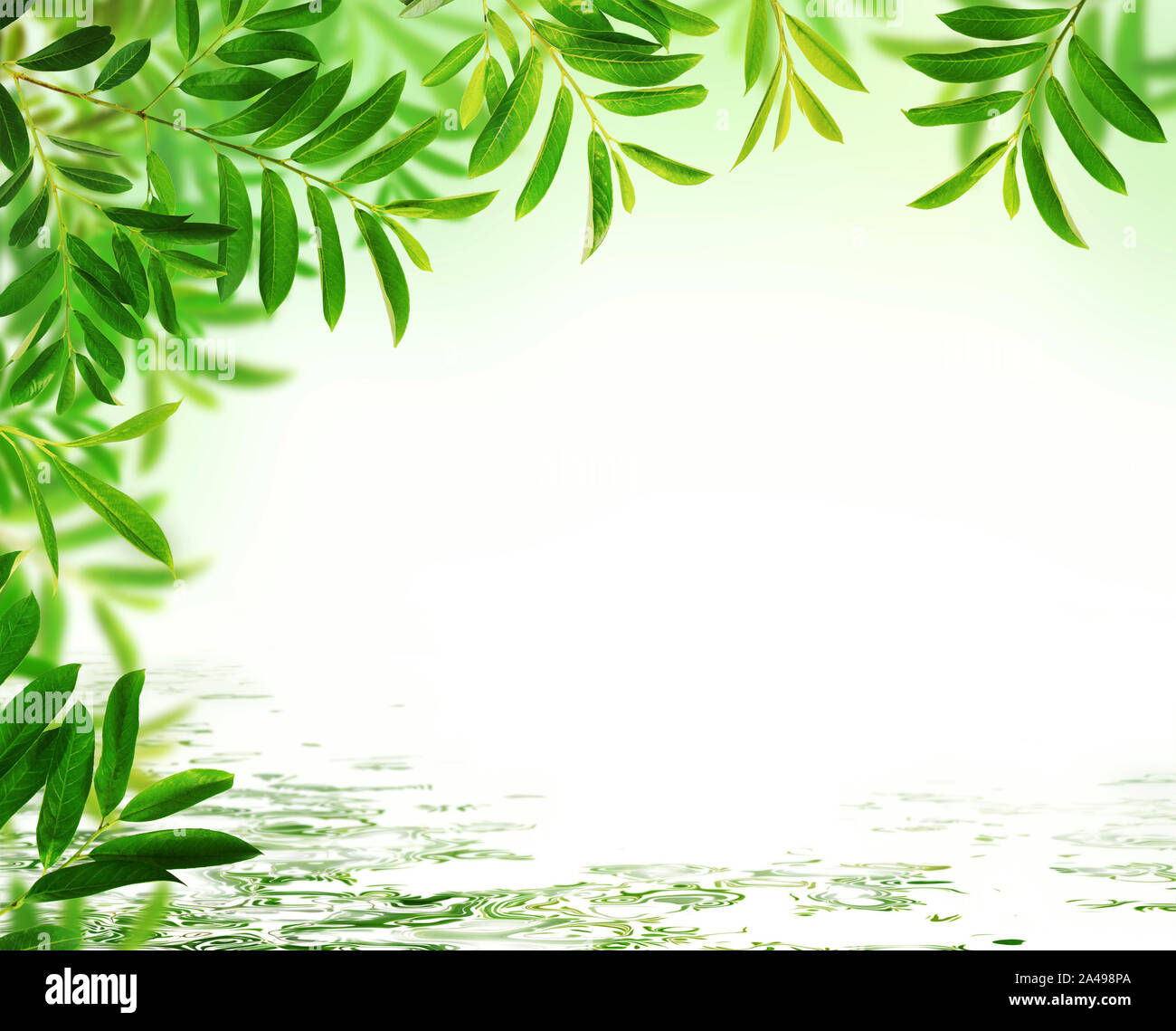 Free white zone in a natural vegetal frame Stock Photo - Alamy