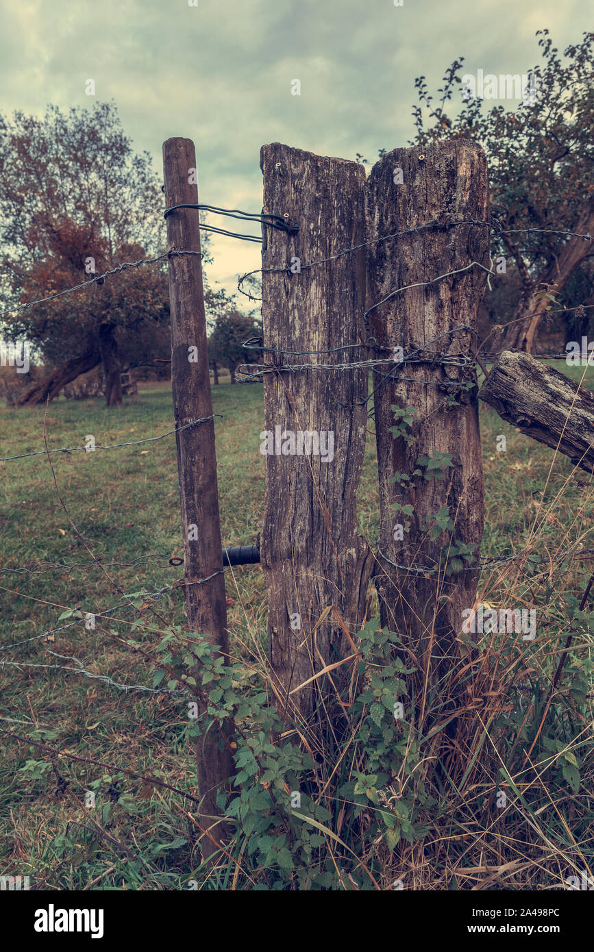 Old fence posts barbed wire hi-res stock photography and images - Alamy