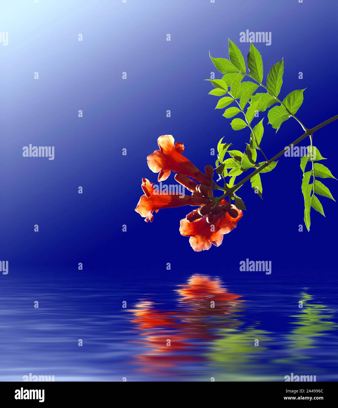 Deep blue background hi-res stock photography and images - Alamy