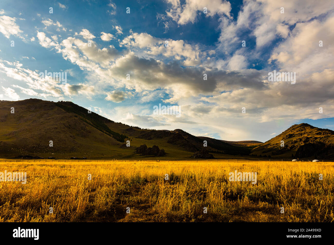 Mongolian Mountain Landscape