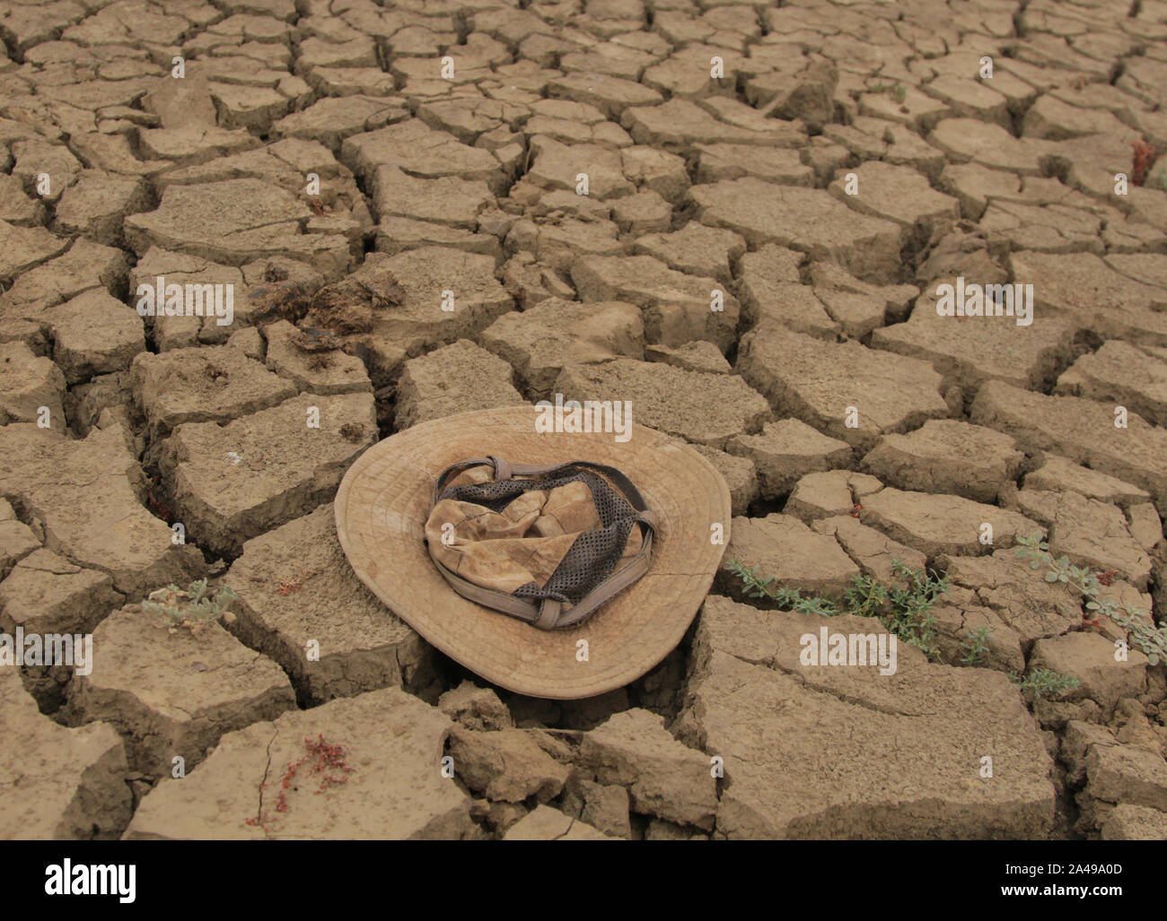Mt Darwin. 11th Oct, 2019. Photo taken on Oct. 11, 2019 shows the ...