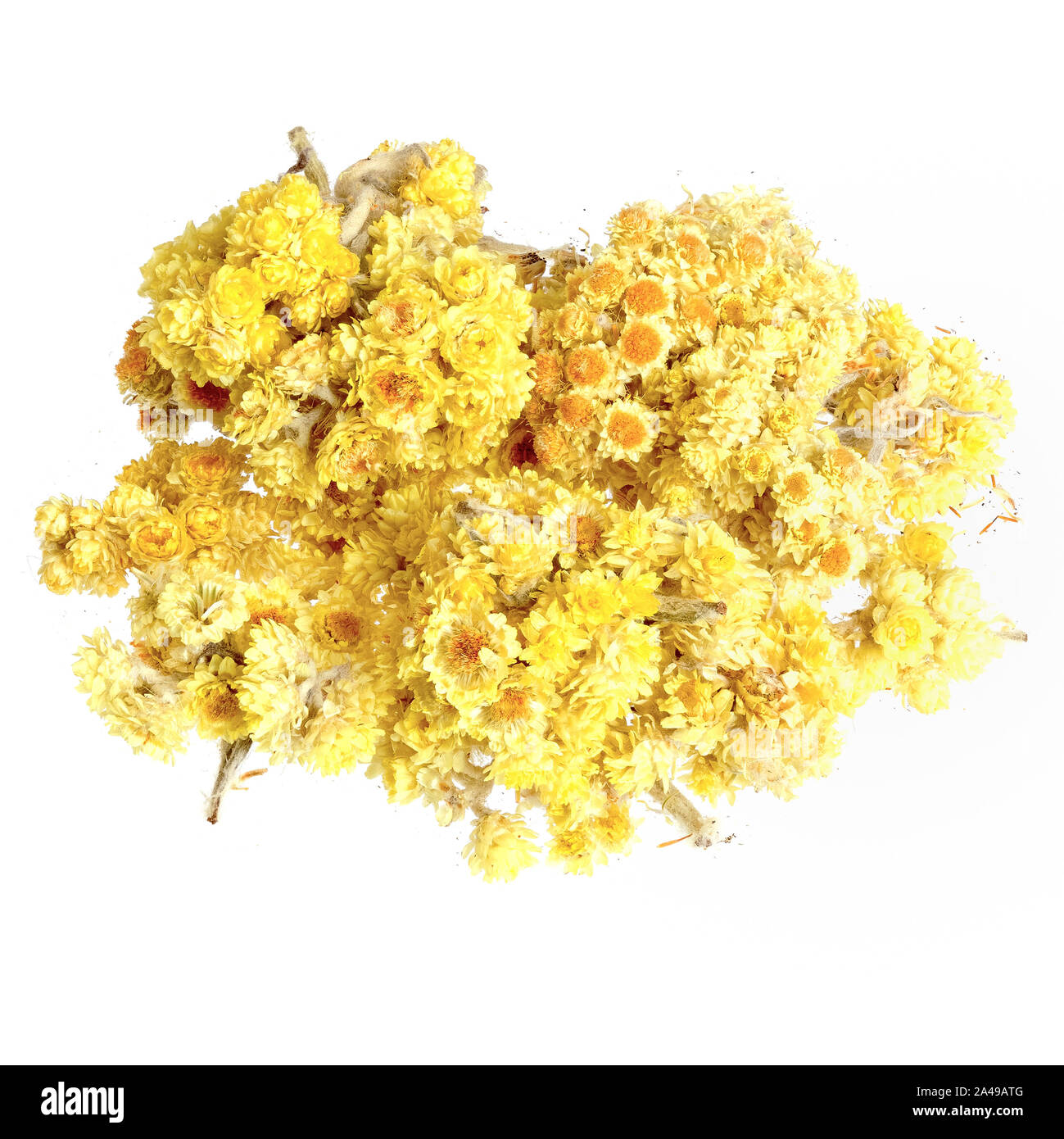 Helichrysum bouquet hi-res stock photography and images - Alamy