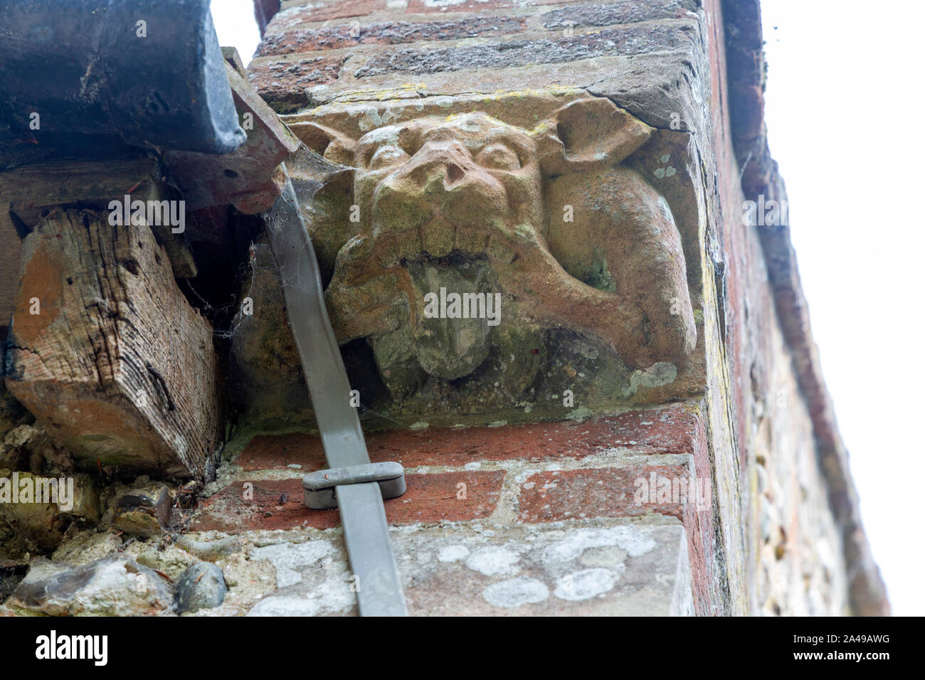 Stone gargoyle grotesque stone animal figure church of Saint Lawrence ...