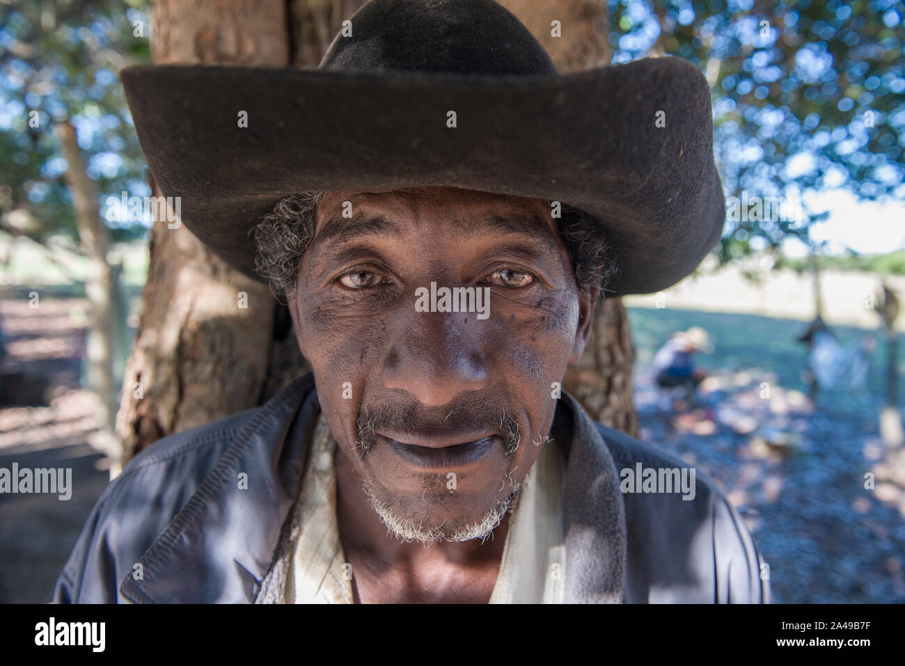 Brazilian Pantanal And People High Resolution Stock Photography and ...