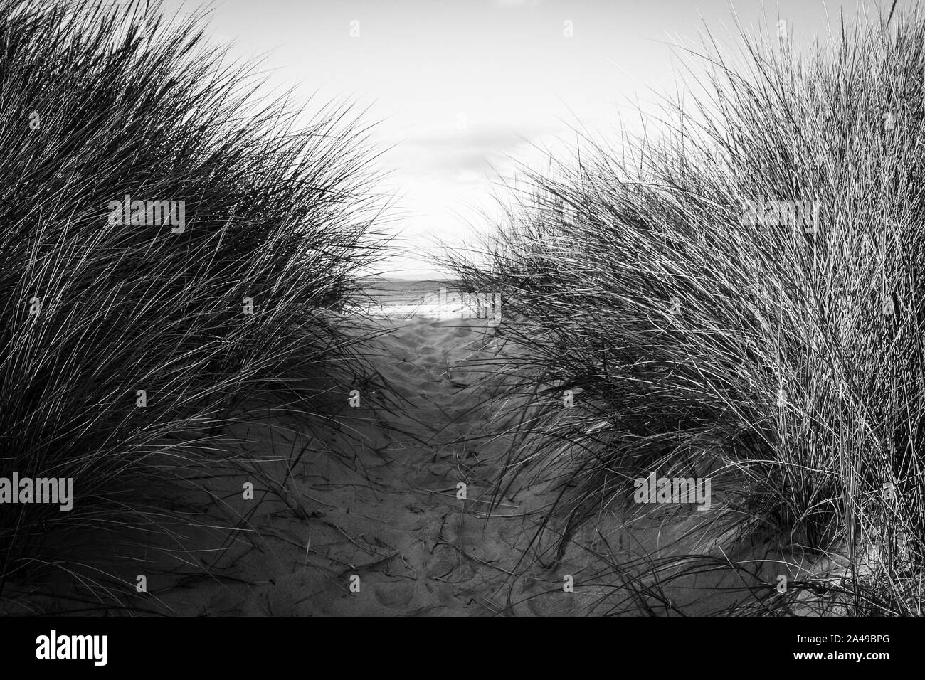 Glimpse through Black and White Stock Photos & Images - Alamy