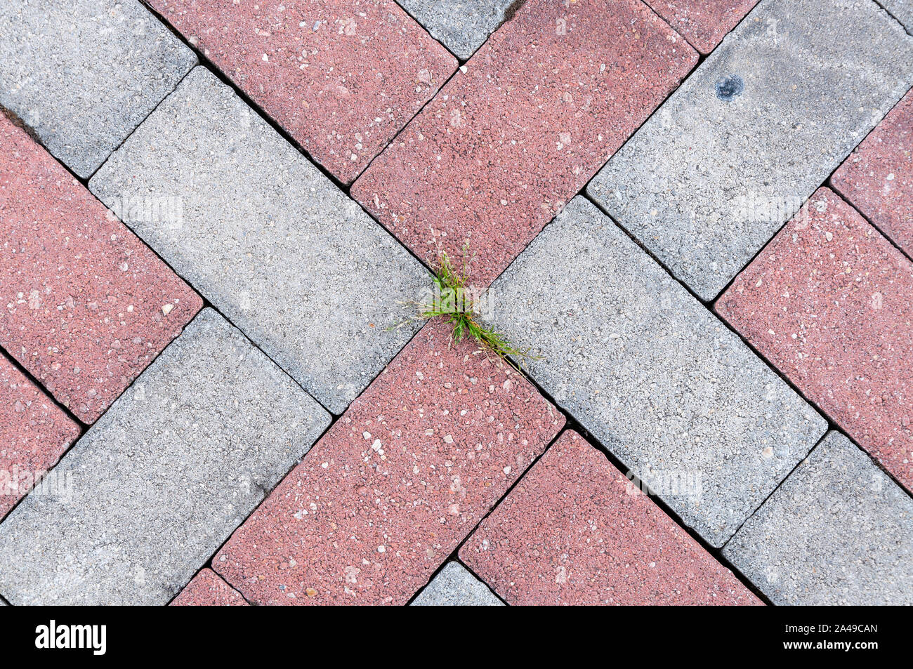 Tuft of grass hi-res stock photography and images - Alamy