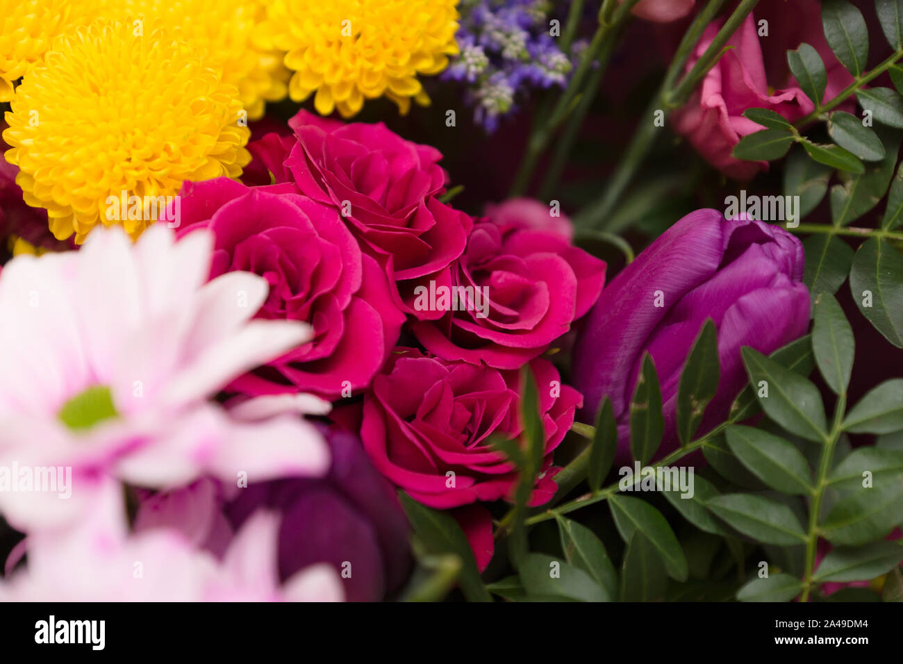 Beautiful colorful background hi-res stock photography and images - Alamy