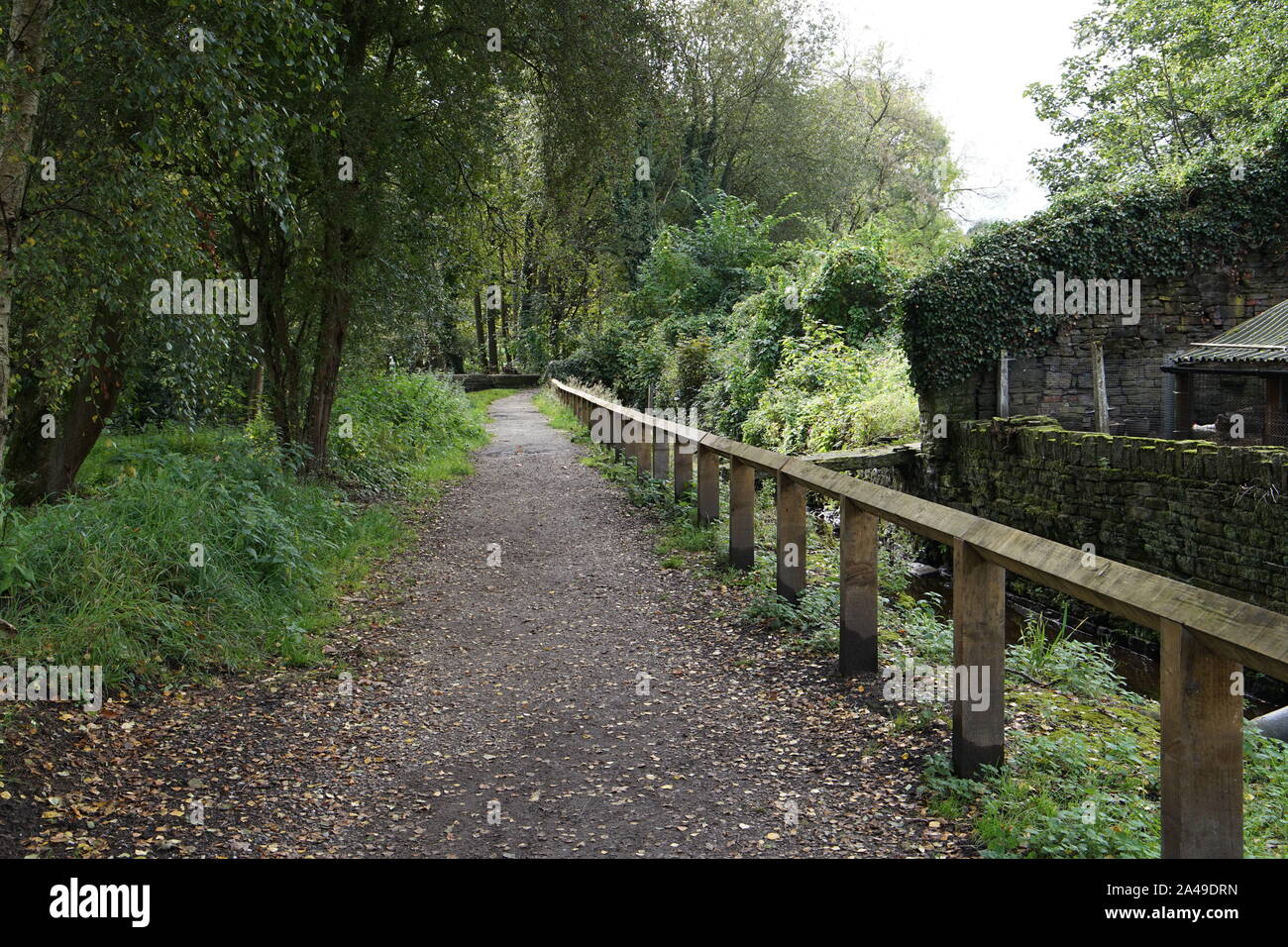 A pathway with trees and a wooden fence with stream and shrubes leeding ...