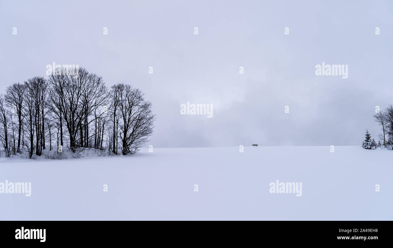 Empty lonely bench far away in white winter landscape with trees Stock ...