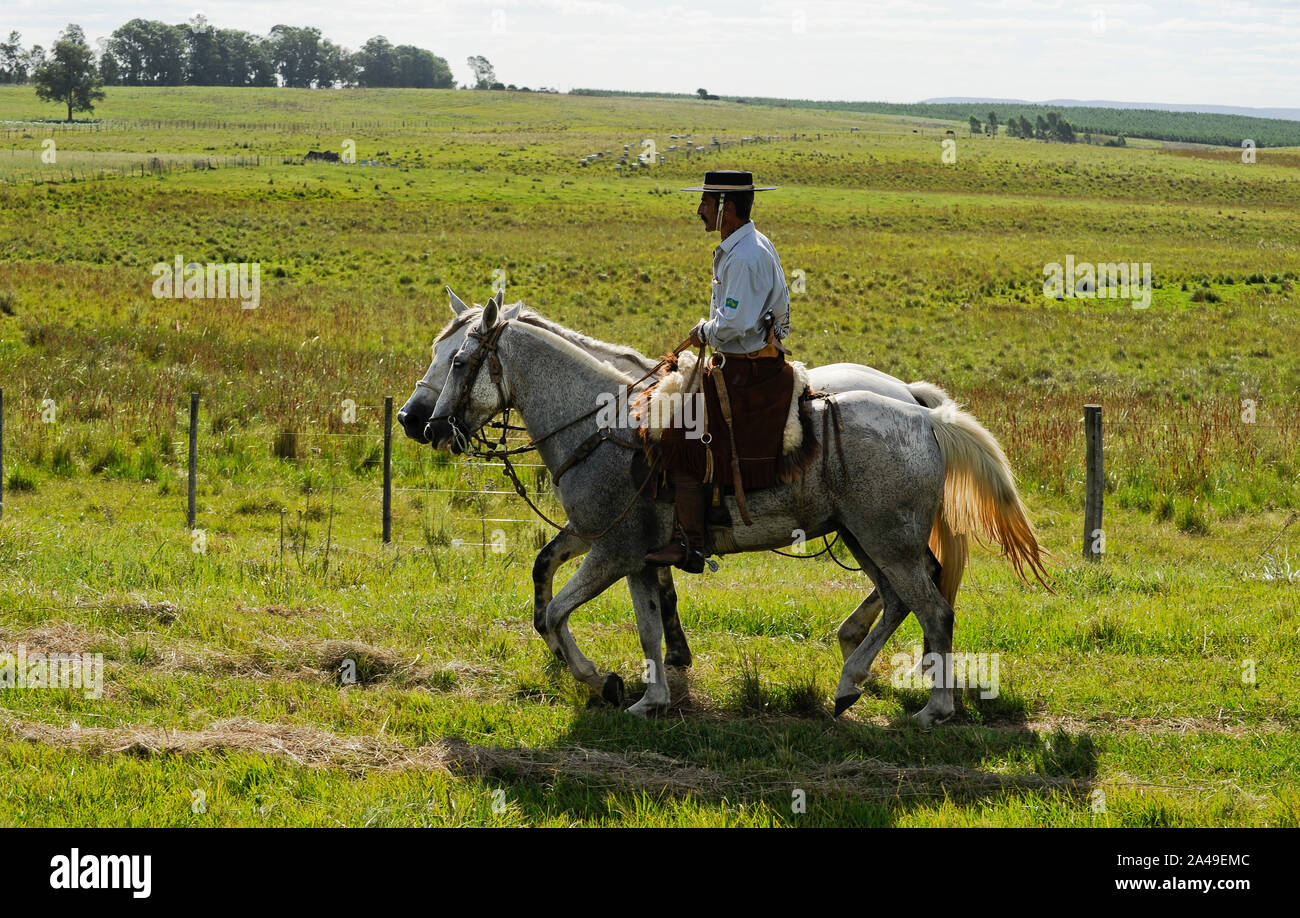 Uruguay pferde hi-res stock photography and images - Alamy