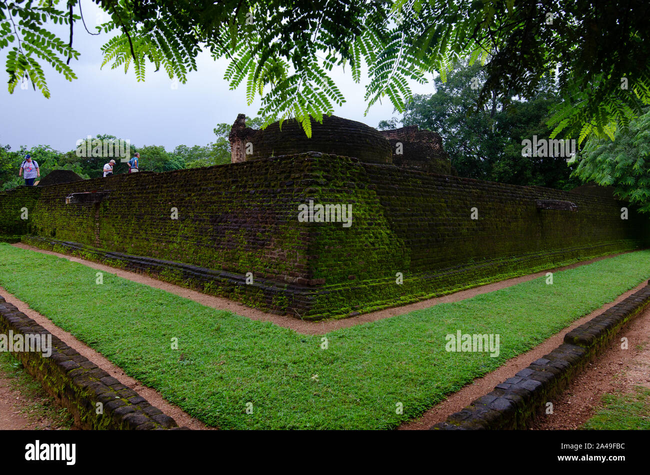 park in Sri Lanka Stock Photo - Alamy