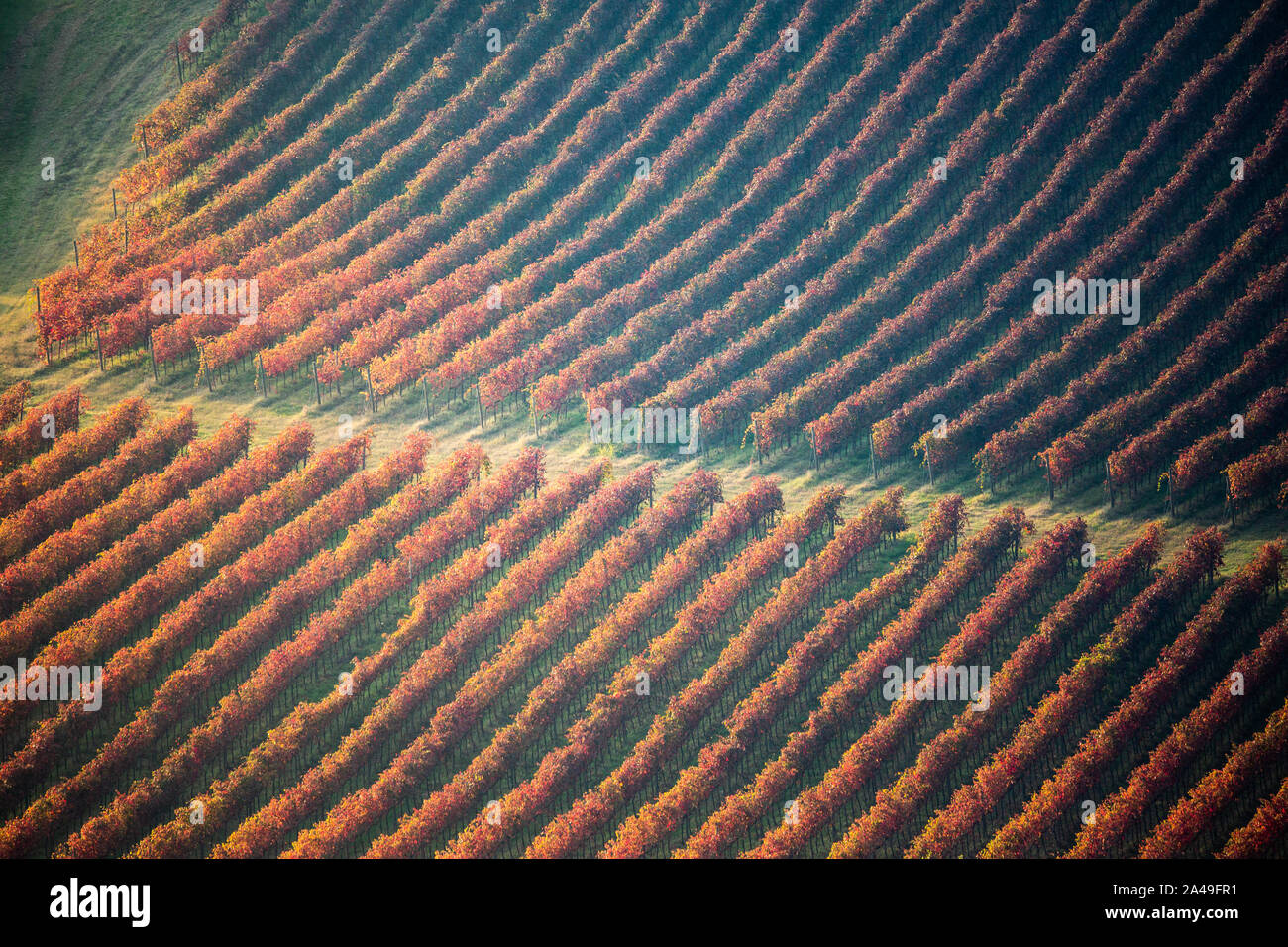 Geometric shapes in nature hi-res stock photography and images - Alamy