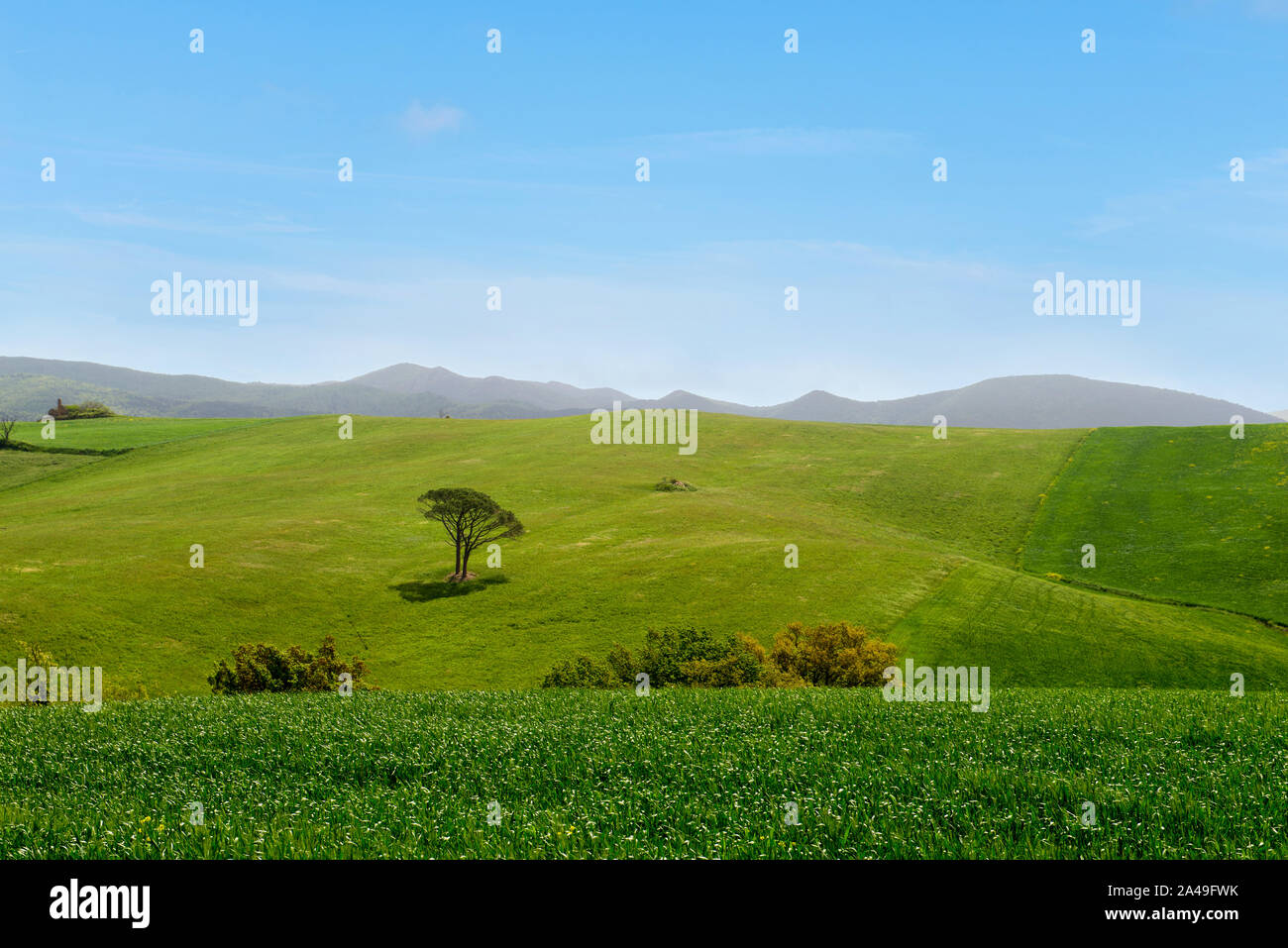 Beautiful spring landscape in Tuscany Stock Photo - Alamy