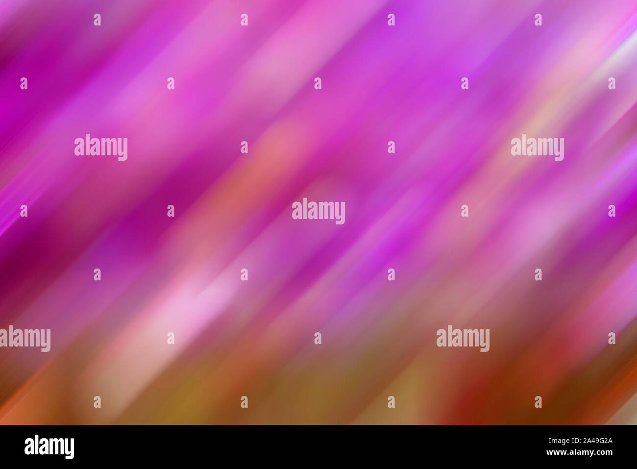Abstract background. Diagonal stripes pink lines. Background for modern ... Abstract background. Diagonal stripes pink lines. Background for modern ...