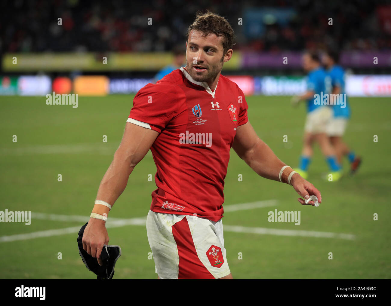 Leigh halfpenny rugby world cup hi-res stock photography and images - Alamy