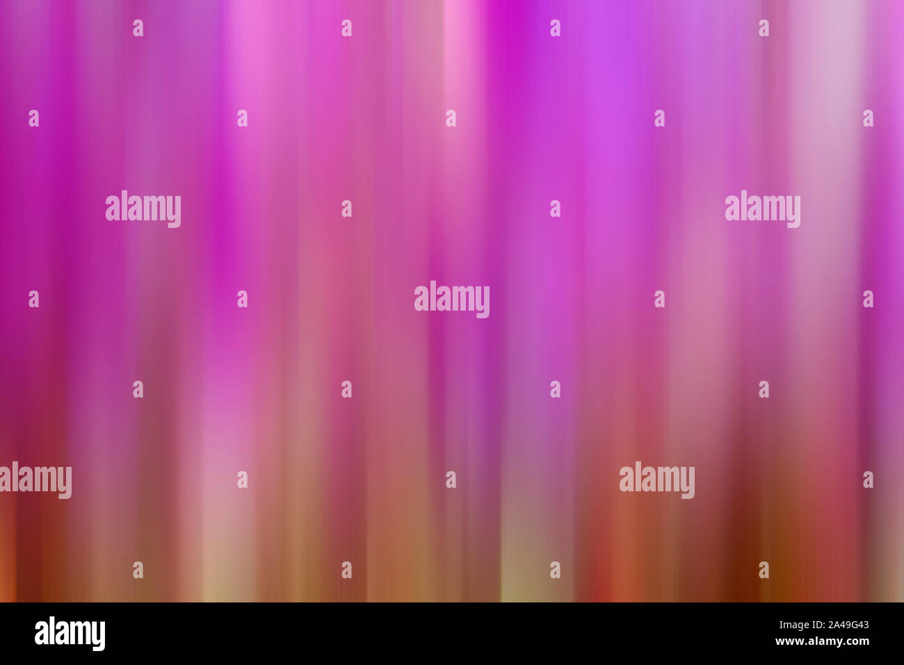 Abstract background. vertical stripes pink lines. Background for modern ...
