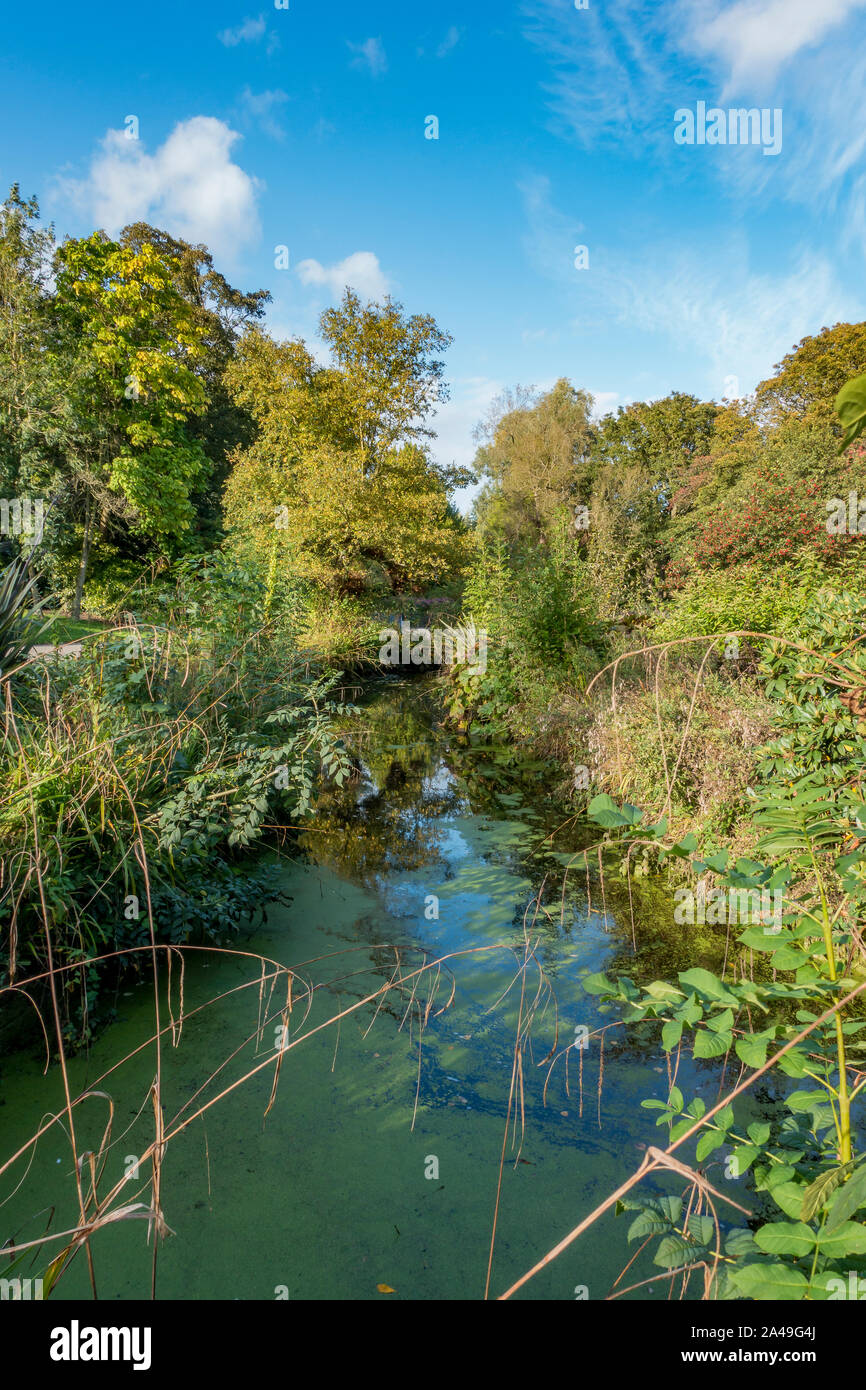Sefton park lake hi-res stock photography and images - Alamy