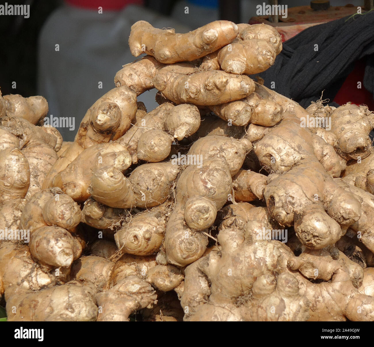 Fully grown ginger roots for sale at a market stall Stock Photo - Alamy