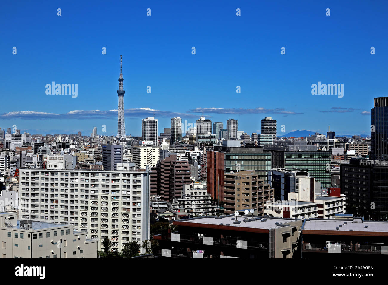 Skytree and Koto ku, Tokyo, Japan Stock Photo - Alamy