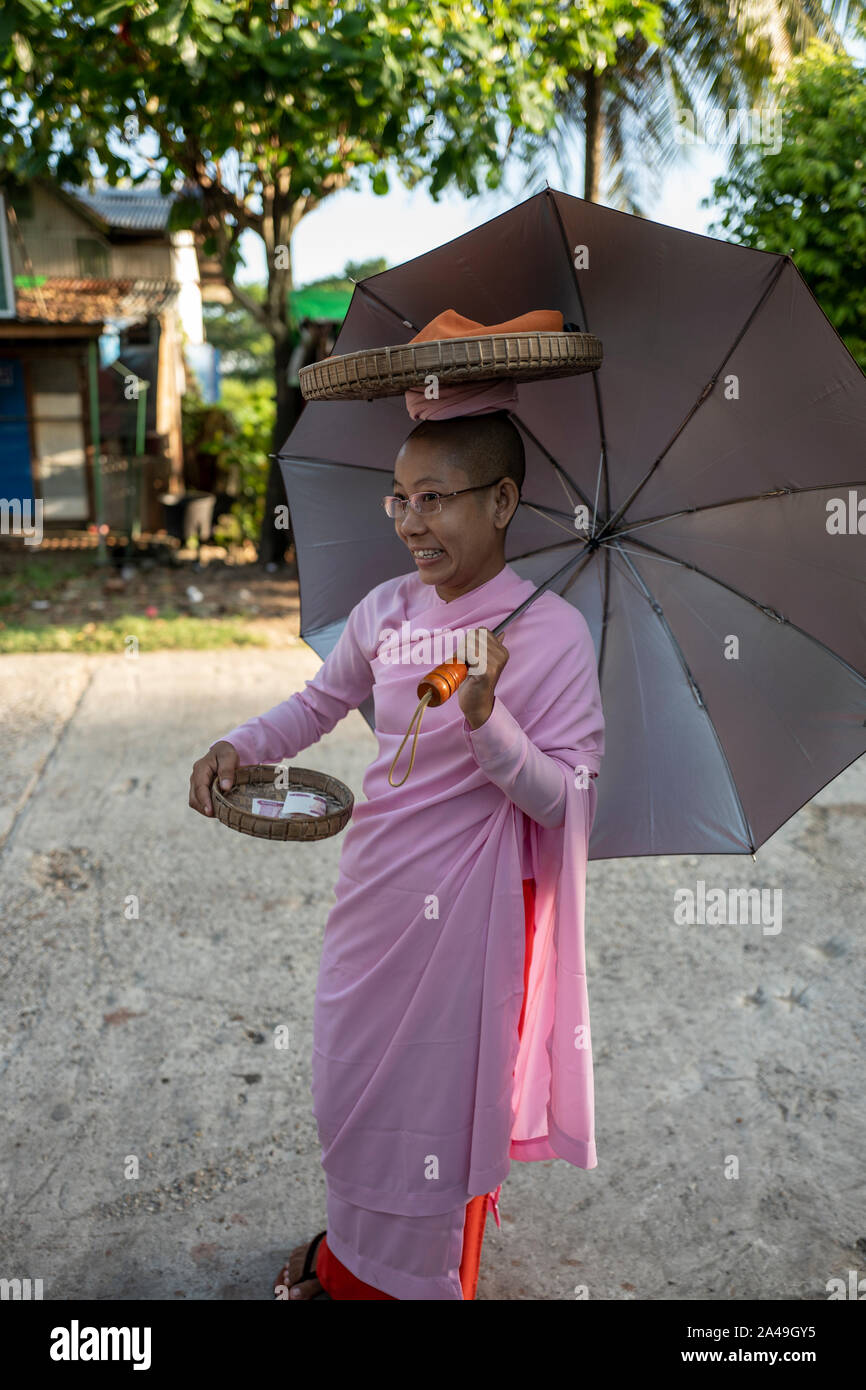 Buddhist nuns in Yangon, Myanmar wearing the traditional pink robes ...