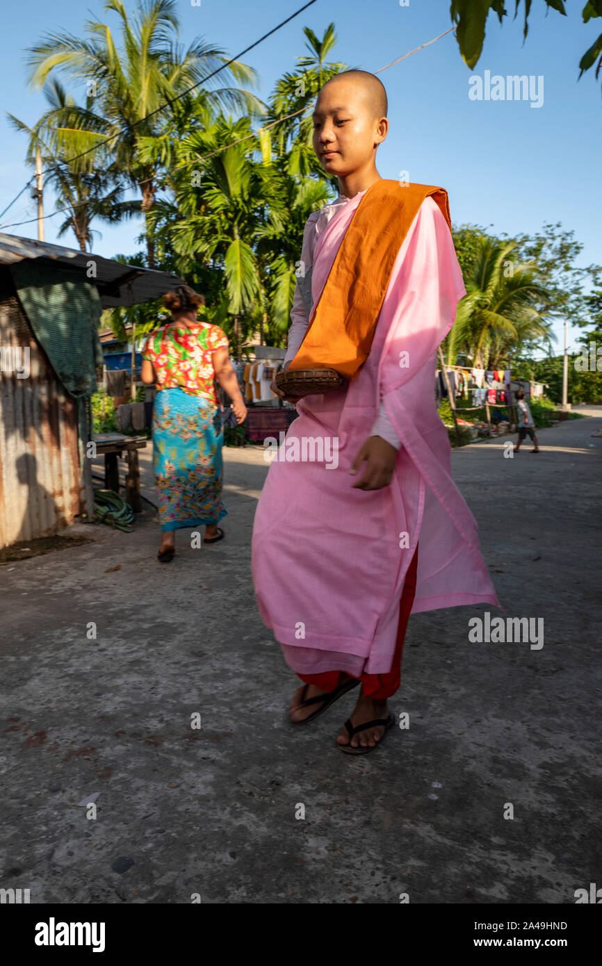 Buddhist nuns in Yangon, Myanmar wearing the traditional pink robes ...